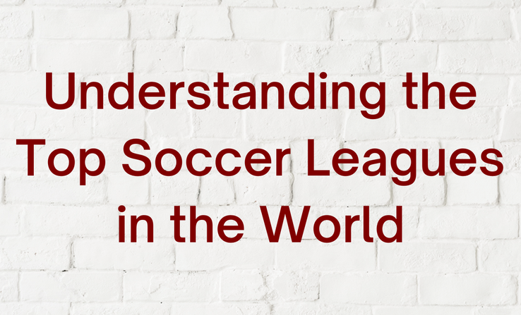 Understanding the World's Top Professional Soccer Leagues – SoccerCards.ca